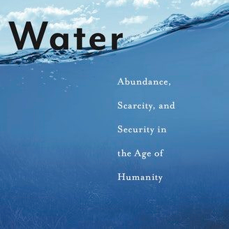 Worlds of Water: Review Essay | PoLAR: Political and Legal Anthropology ...