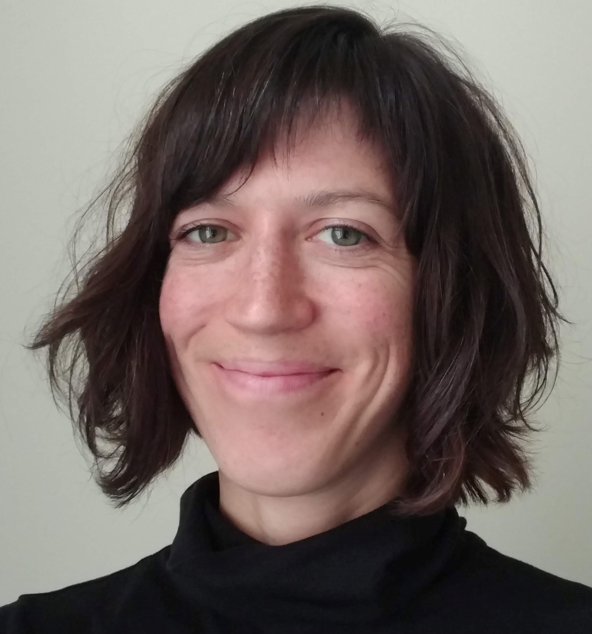 Anna Weichselbraun on Nuclear Safeguards Inspectors: PoLAR Author ...